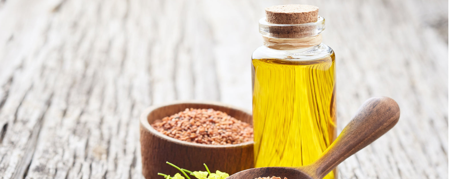 Camelina Oil Benefits, Uses, and Side Effects — Wholesale Botanics