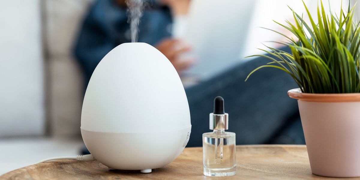 Home Fragrance Guide: How to Use Essential Oils to Scent a Room ...