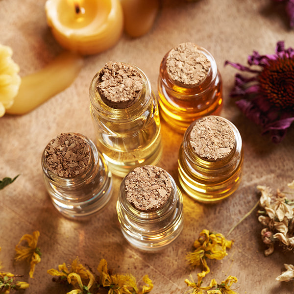 Essential Oil Favorites — Wholesale Botanics
