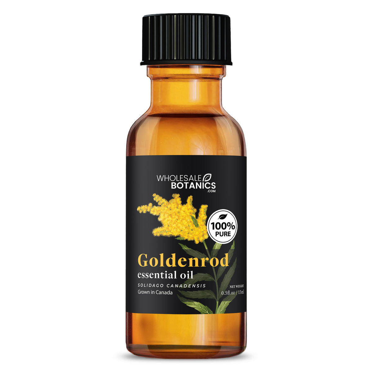 Goldenrod Essential Oil — Wholesale Botanics