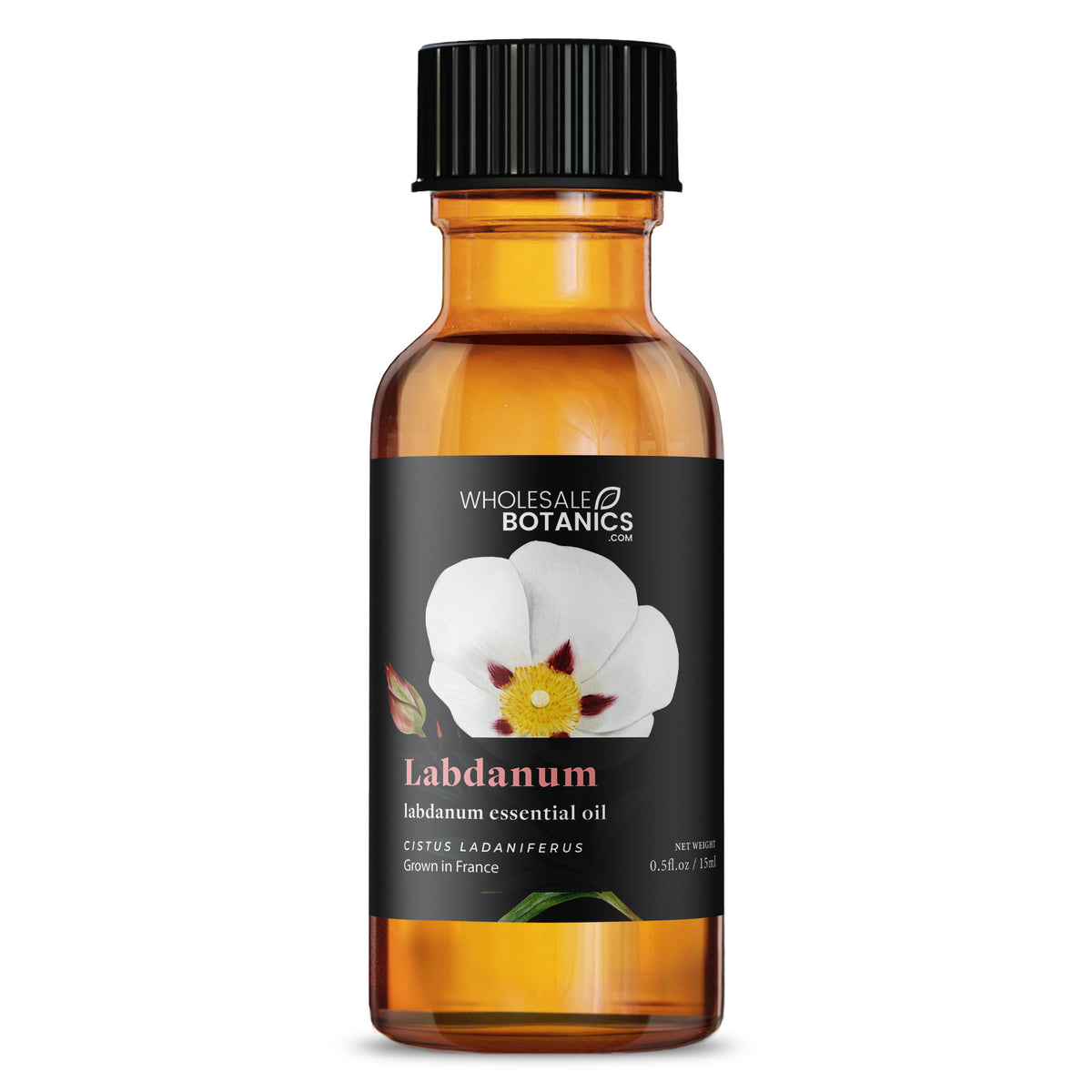 Labdanum Essential Oil — Wholesale Botanics