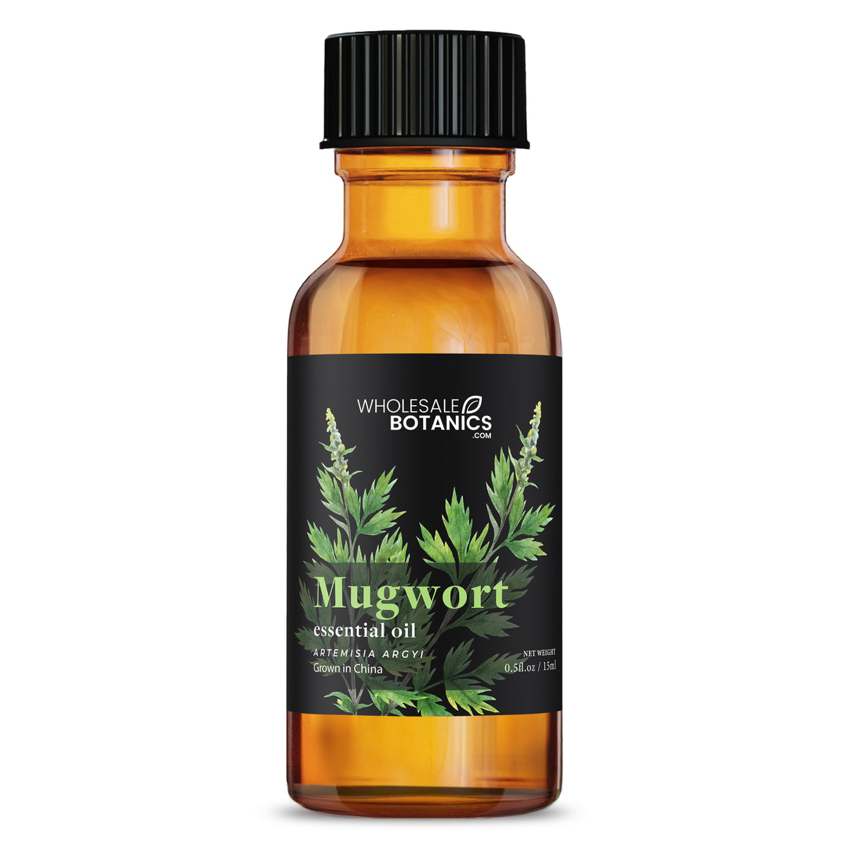 Mugwort Essential Oil — Wholesale Botanics
